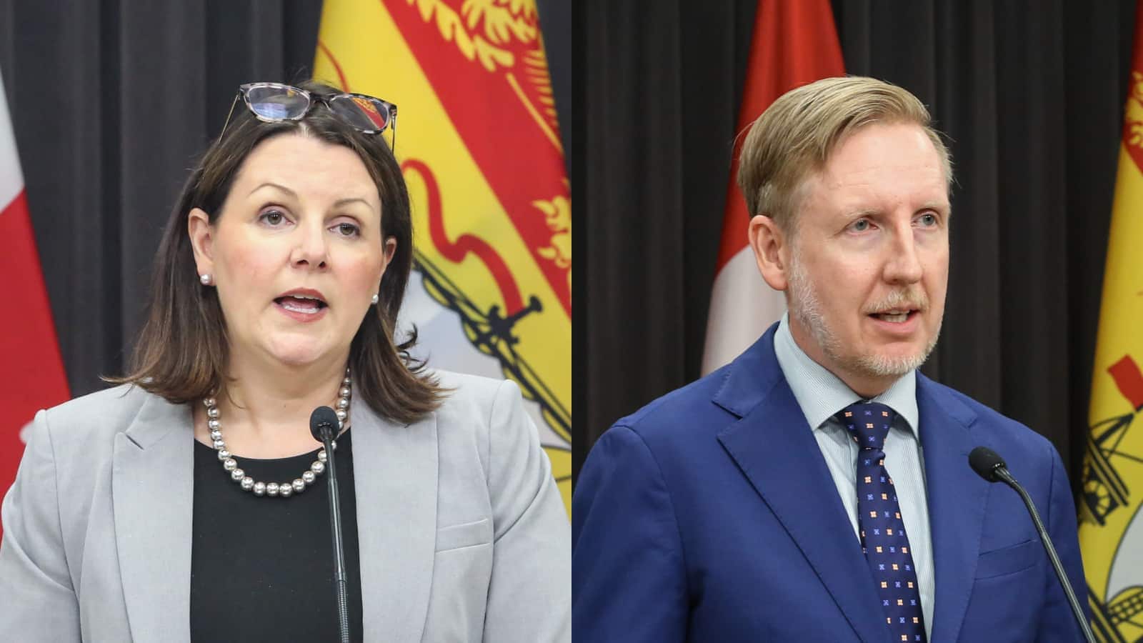 Media Mentions: Professor Heidi Tworek Co-Authors Report on Democratic ...